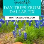 30 Incredible Day Trips from Dallas | That Texas Couple