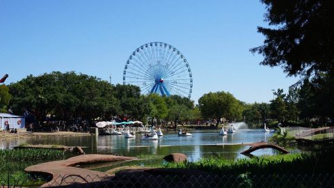 101+ Things to do in Dallas-Fort Worth - That Texas Couple