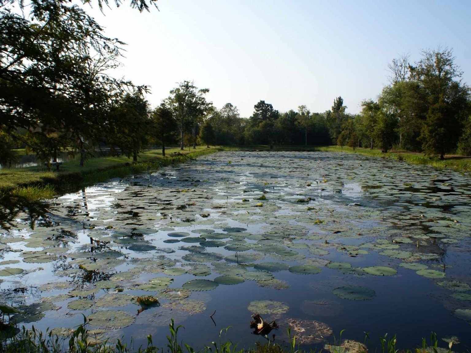10 Awesome Lakes in Houston (and Nearby) | That Texas Couple