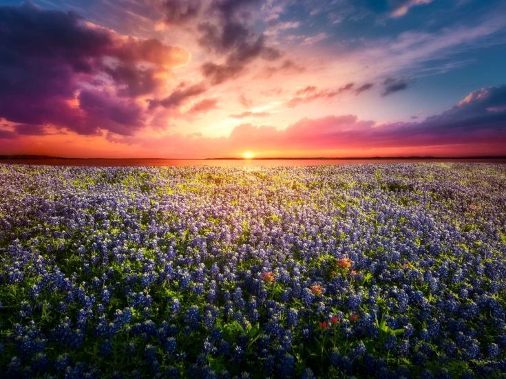 150 Perfect Sunshine Captions for Instagram | That Texas Couple