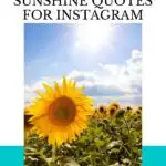 150 Perfect Sunshine Captions for Instagram | That Texas Couple