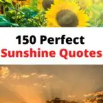 150 Perfect Sunshine Captions for Instagram | That Texas Couple