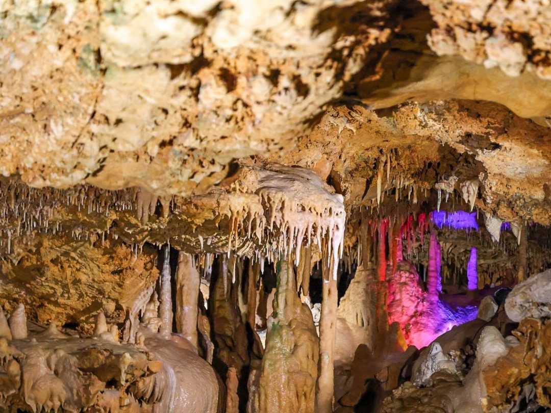 16 Fun Things to do in Georgetown, TX | That Texas Couple