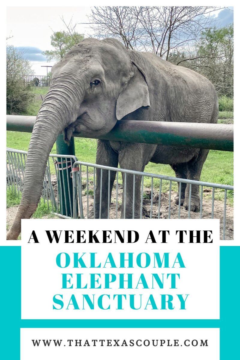 Weekend at the Oklahoma Elephant Sanctuary | That Texas Couple
