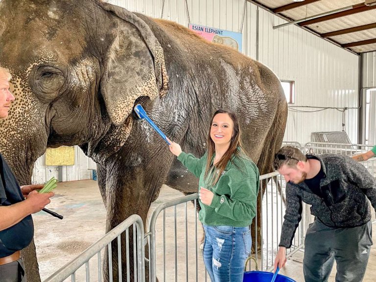 Weekend at the Oklahoma Elephant Sanctuary | That Texas Couple