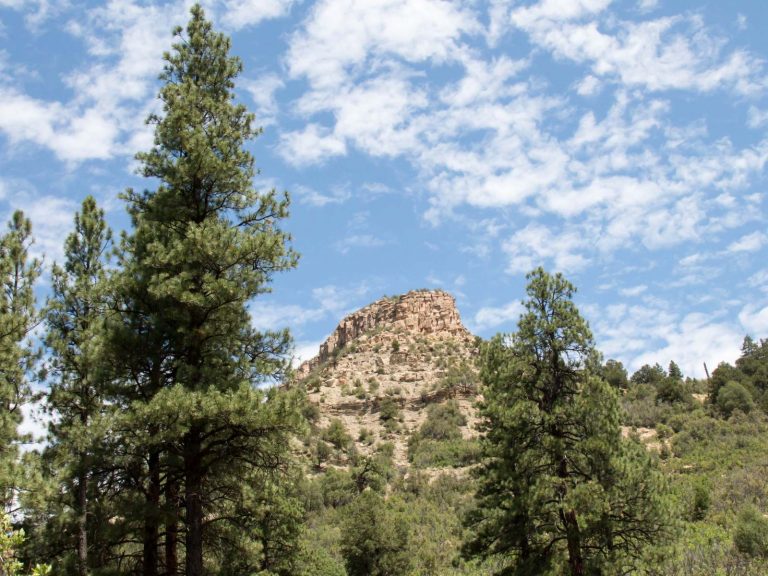 21 Fun Things to Do in Durango, Colorado | That Texas Couple
