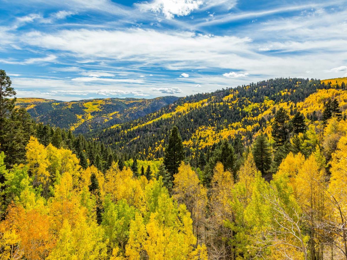 21 Fun Things to Do in Durango, Colorado | That Texas Couple
