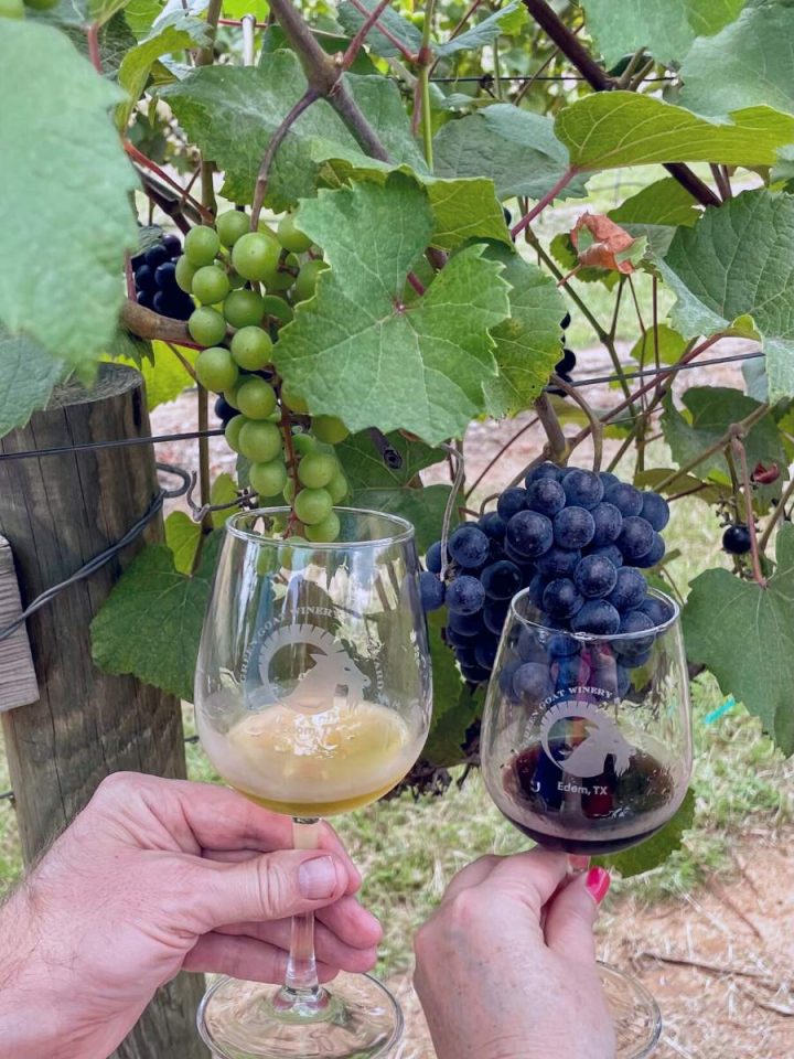 6 Reasons to Take an East Texas Wine Tour | That Texas Couple