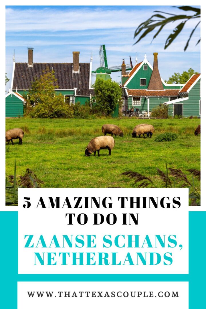Discover the Best Things to Do in Zaanse Schans: A Complete Guide ...